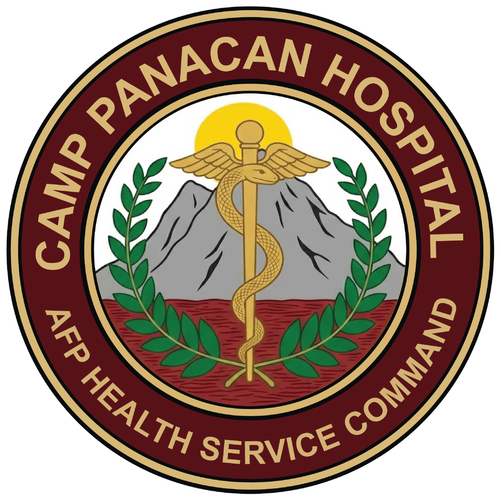 Home - Medical Center, AFP